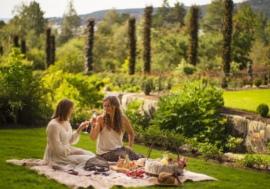 Hjem | Nesbru Rotary